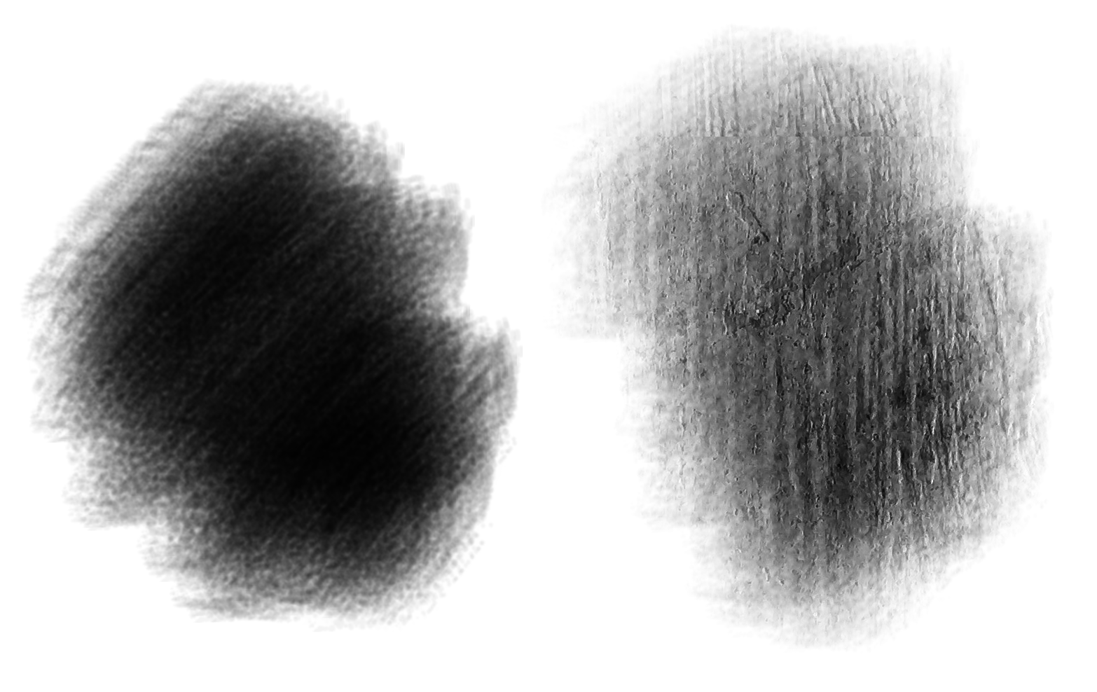 Brushes – Callipeg