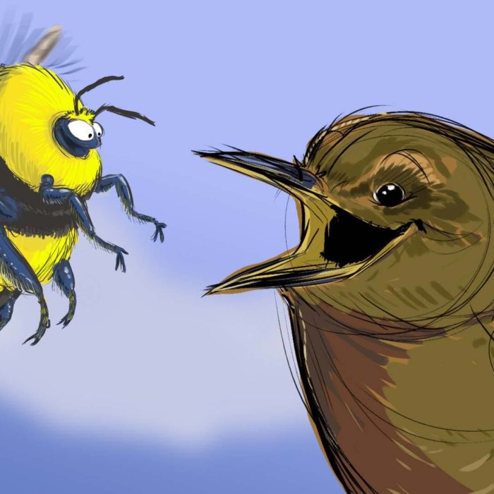 Callipeg – 2D animation app for ipad